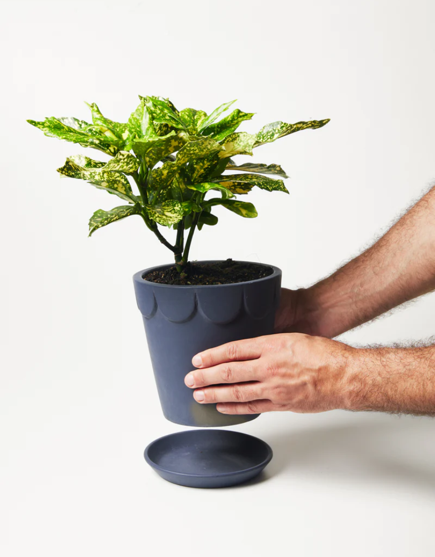 Dolly Pot Large - Shadow– Say It Sister
